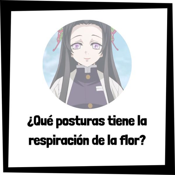 ¿Quiénes son los pilares de Demon Slayer?
